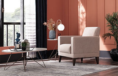 Berjer Modelleri & Tekli Koltuk Fiyatları | Divanev Mobilya | Divanev ...